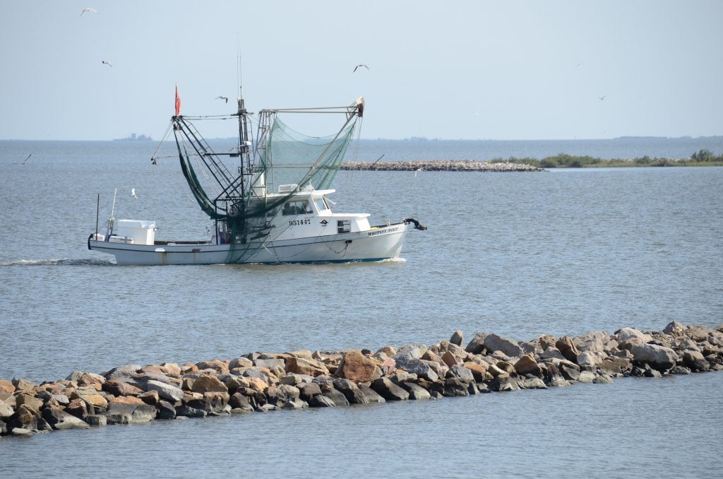 Shrimp - LA Fisheries Forward